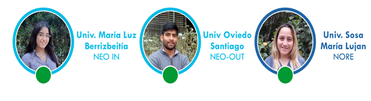 Sesiones de Intercambio – IFMSA – Argentina